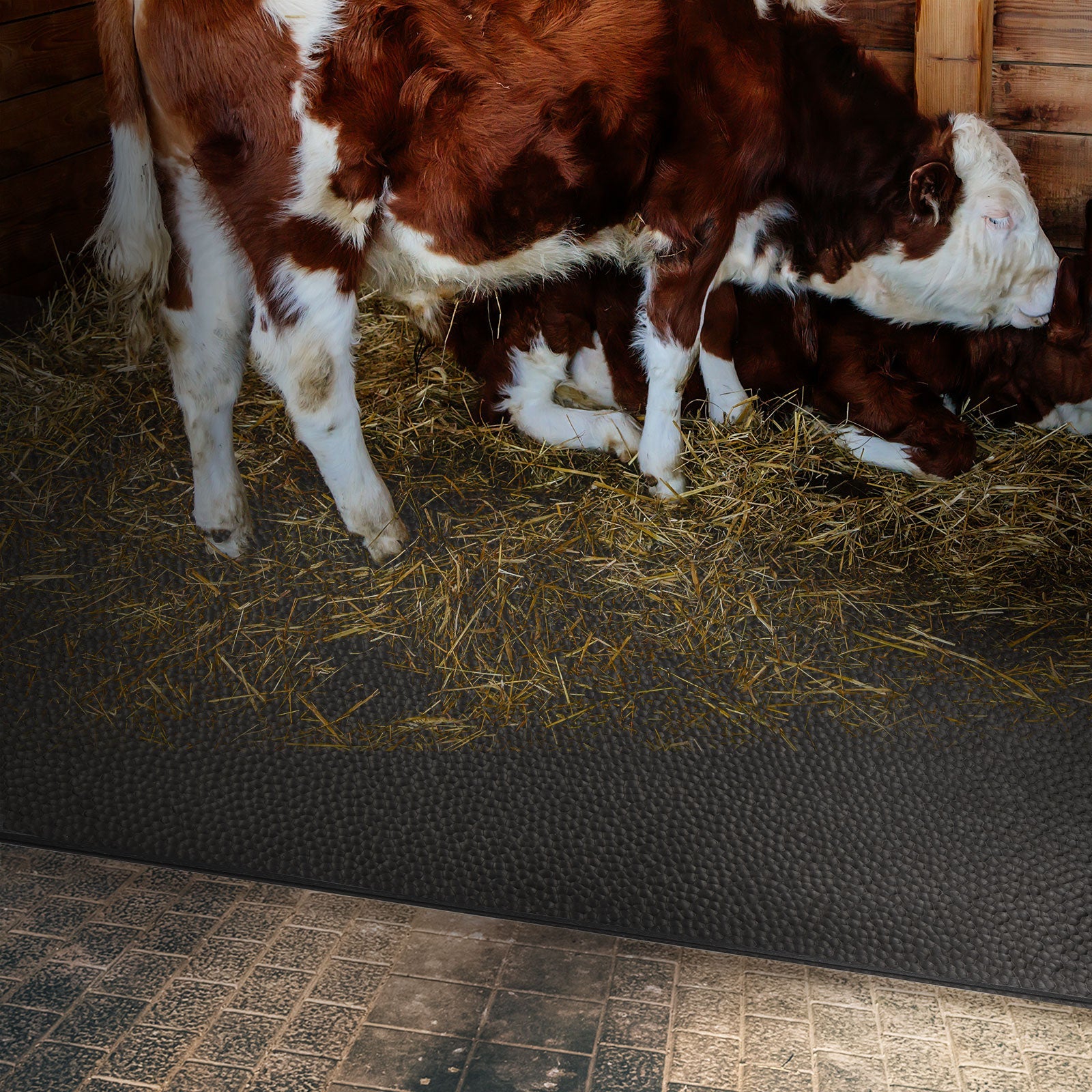 Cow Bed Matress | GW4005 | Stärke: 4,5 mm | 200 x 100 cm